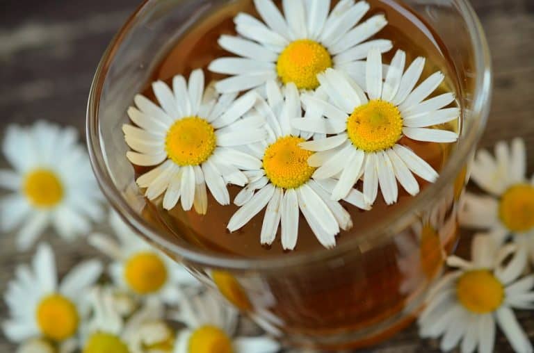 Does Tea Cause Heartburn? - Best & Worst Teas For Acid Reflux